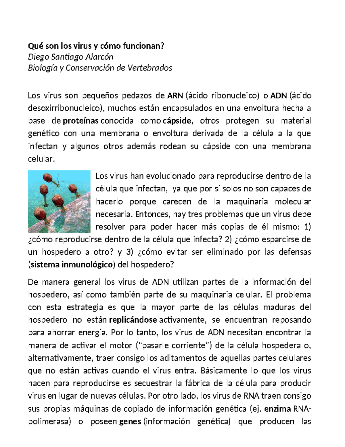 Qué son los Virus y Cómo funcionan Incecol mx feb2022 - Qué son los ...