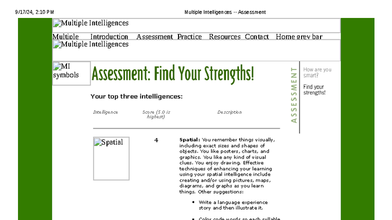 Multiple Intelligences Assessment - Insights and Techniques - Studocu