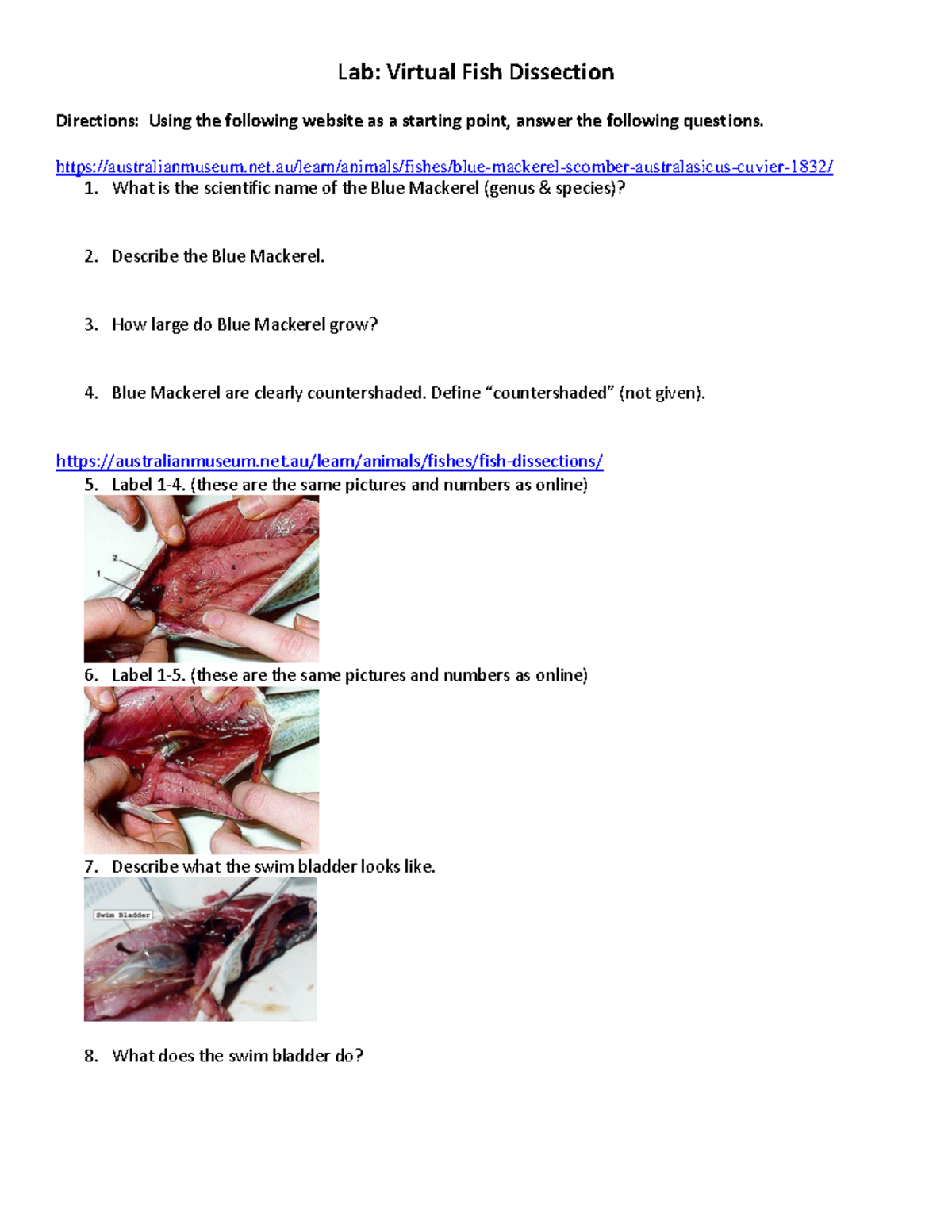 Virtual Fish Dissection Lab Guide: Exploring Blue Mackerel and Anatomy ...