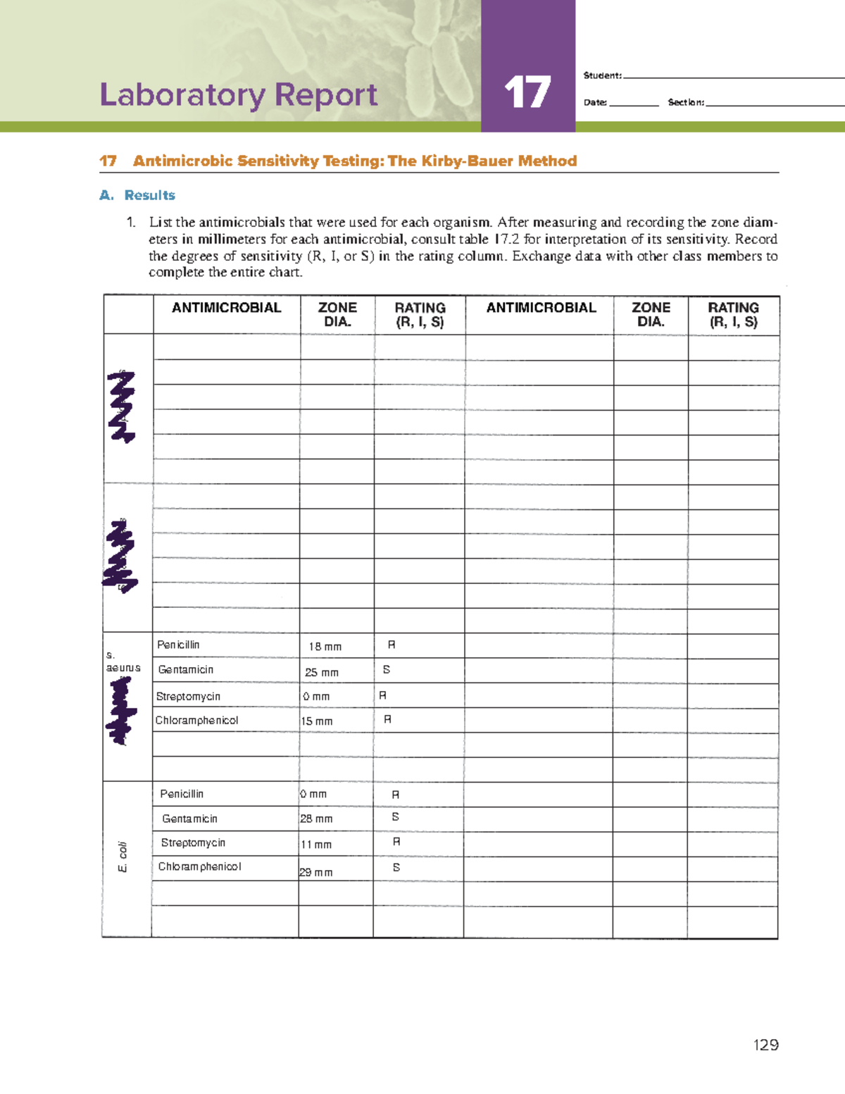 Exercise 17 Lab Report: Antimicrobic Sensitivity Testing (Kirby-Bauer ...