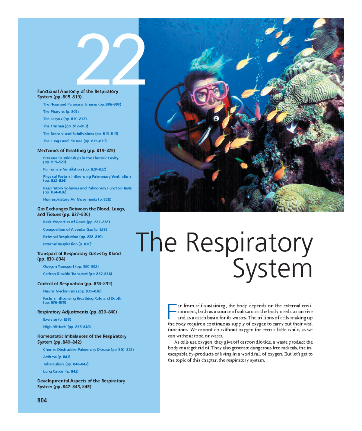 Marieb Chapter 22: The Respiratory System Overview and Functions - Studocu