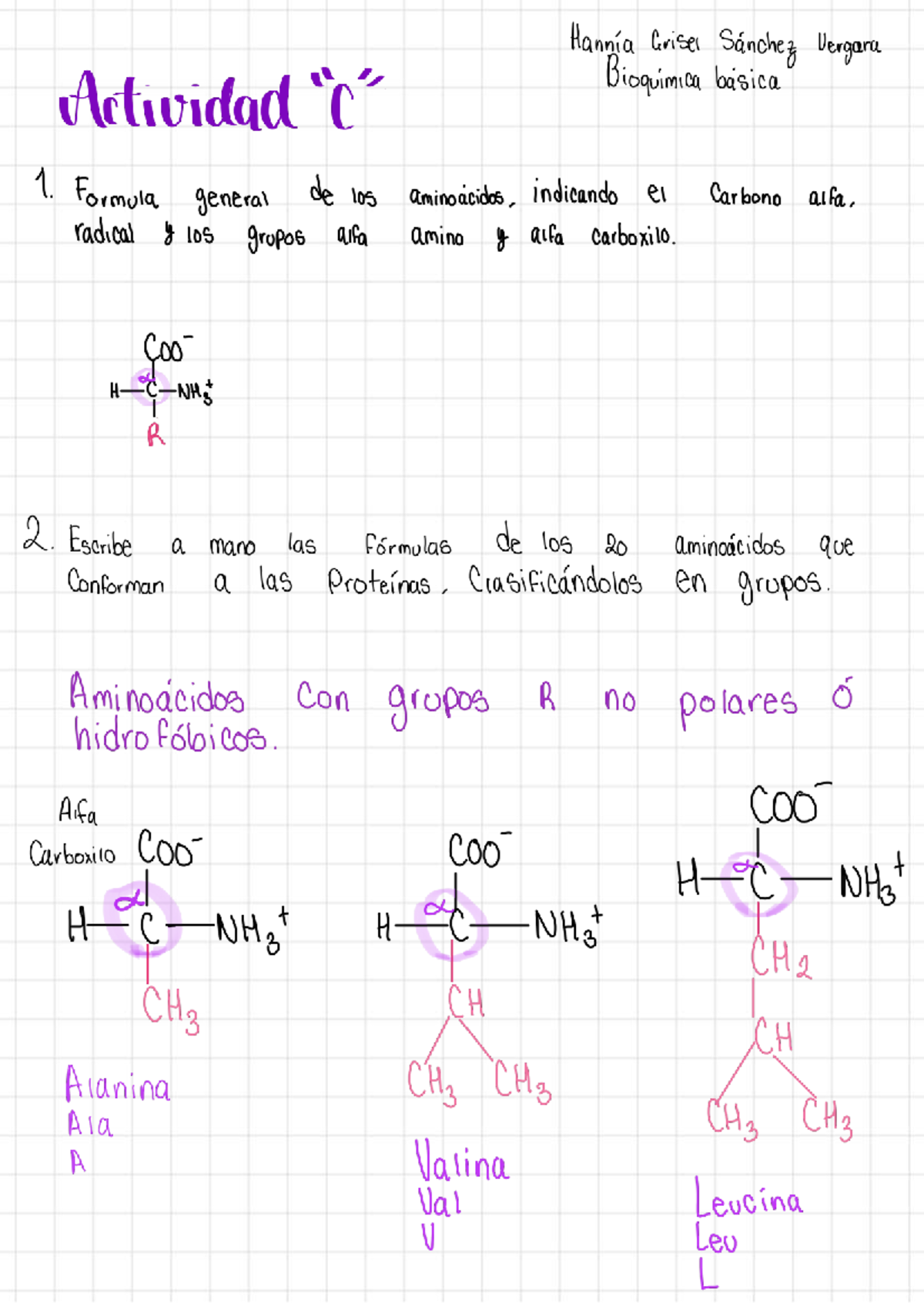 Aminoácidos: Fórmulas y Clasificación - Bioquímica Básica 1 (BBas 36922 ...