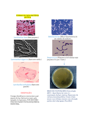 Leica-Cyto Vision - ............. - CytoVision ® ####### The platform ...