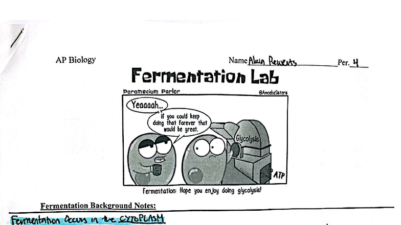 AP Biology (APBIO) Fermentation Lab Pre-Lab Notes & Video - Studocu