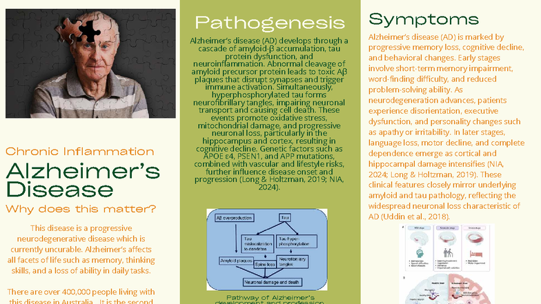 Alzheimer's Disease (AD): Pathogenesis, Symptoms, and Treatment ...