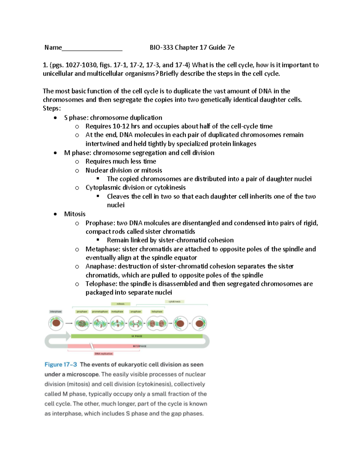 BIO333 Ch17 Study Guide: Cell Cycle Mechanisms & Control - Studocu