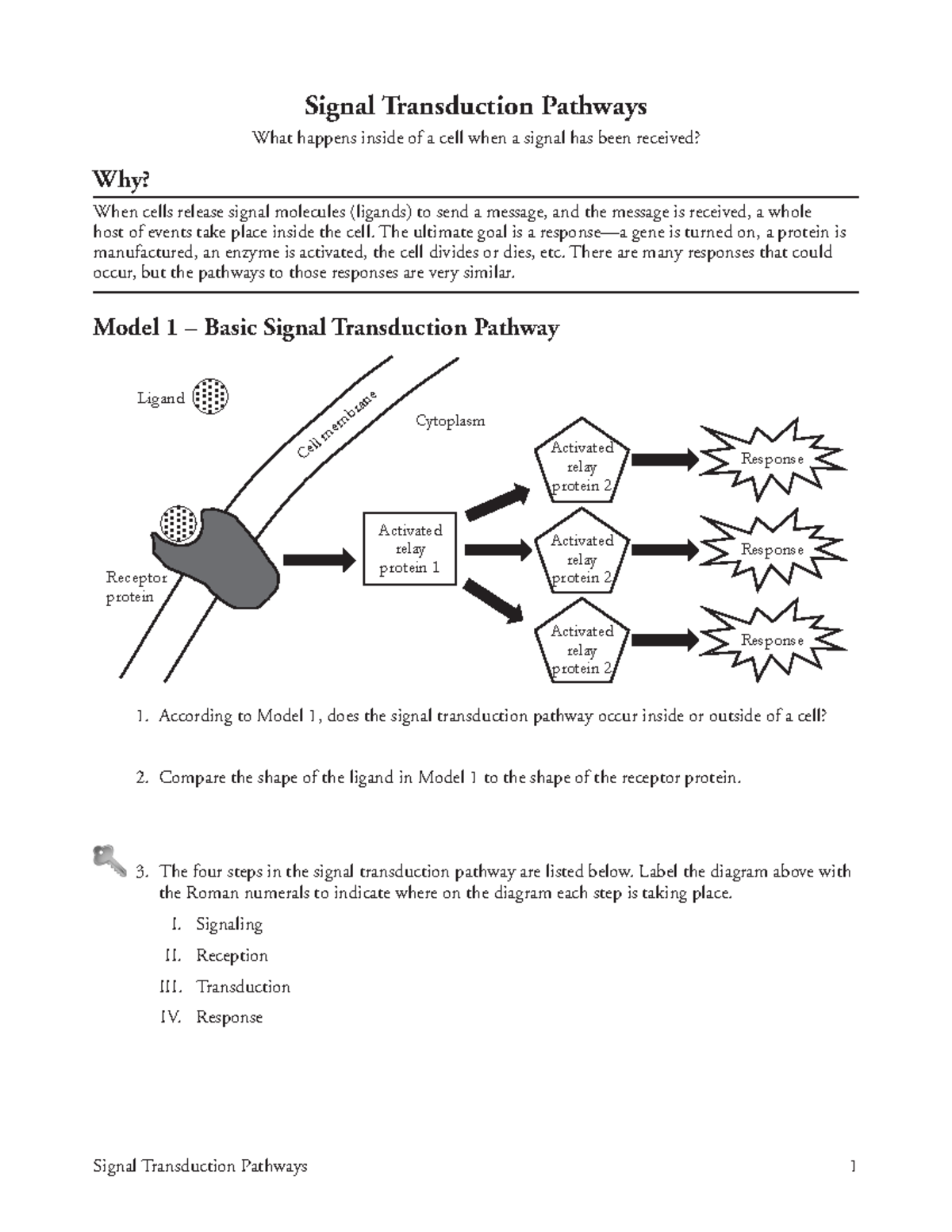 13 signal transduction pathways-s 2-1 - Signal Transduction Pathways 1 Signal Transduction ...