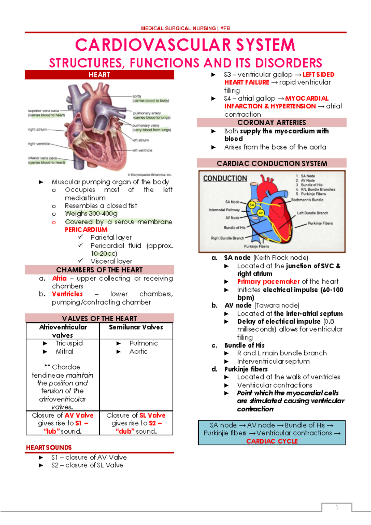 MS Cardio - Med Surge Lecture on Cardiovascular System and Disease ...