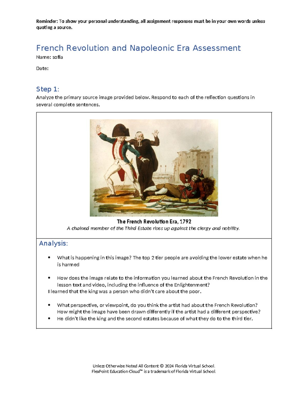 French Revolution & Napoleonic Era Analysis - Assignment by Sofia - Studocu