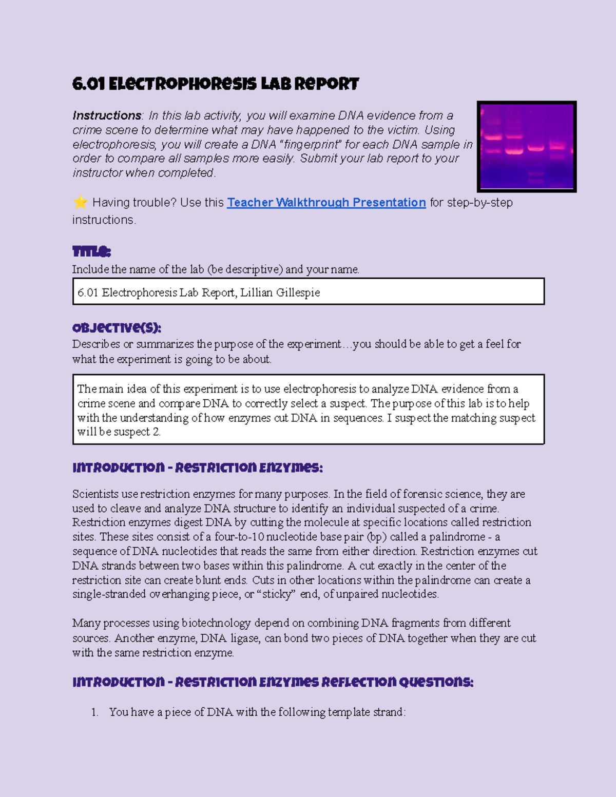 Copy of 6.01 Electrophoresis Lab Report - 6 Electrophoresis Lab Report ...