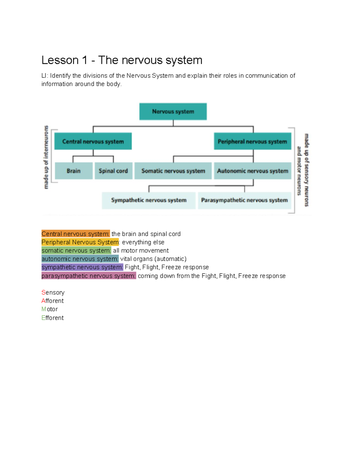 Psychology Unit 3: The Nervous System Lessons Overview - Studocu