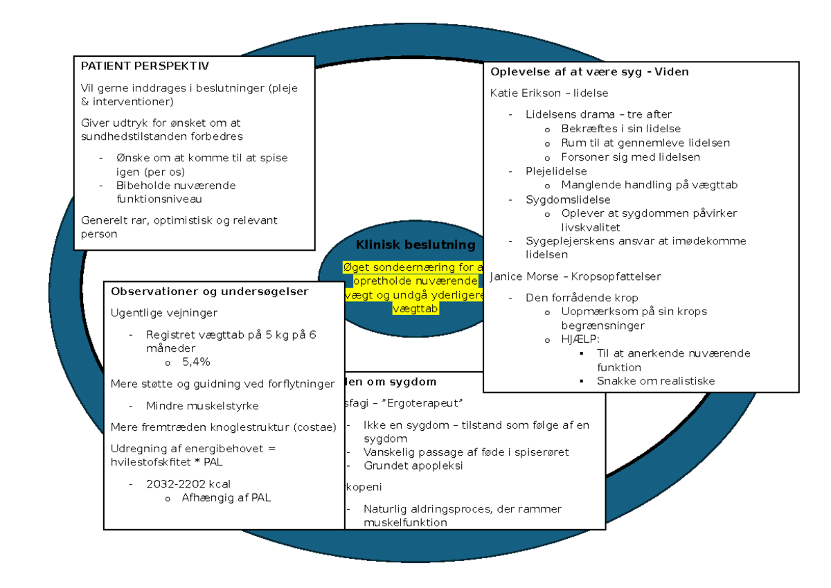 PRM Model - Ekstern Prøve: Patientperspektiv og Plejeinterventioner ...