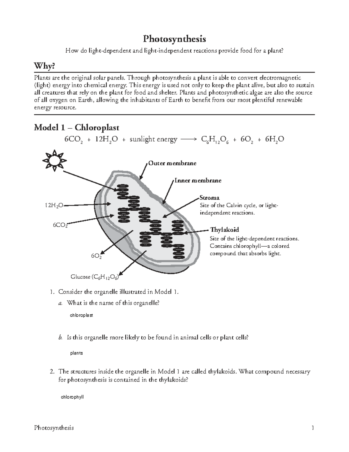 Photosynthesis: Mechanisms and Reactions in Plants (Biology 101) - Studocu