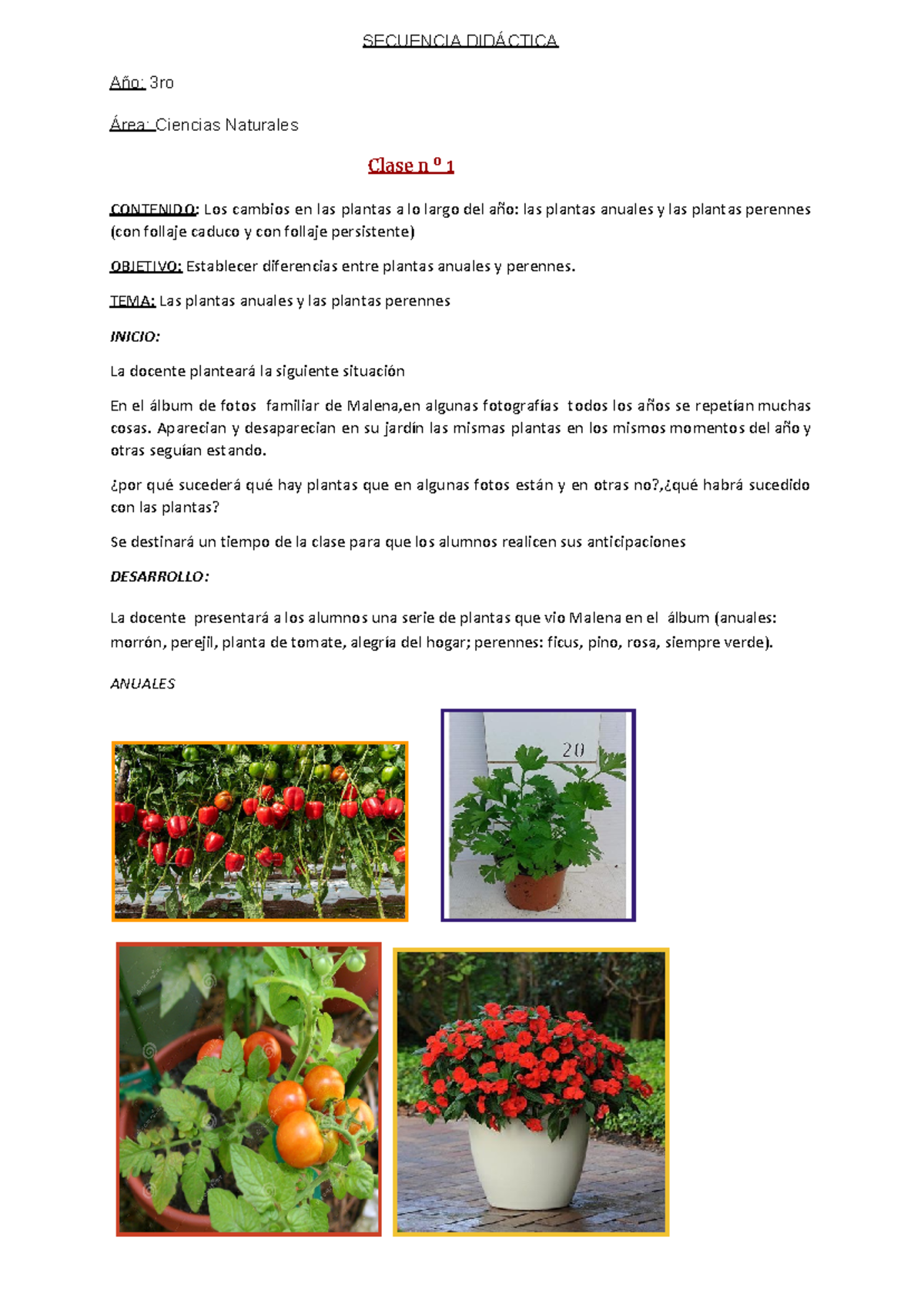 Secuencia Didactica Para Segundo Grado Sobre Las Plantas De Jardin - Infoupdate.org