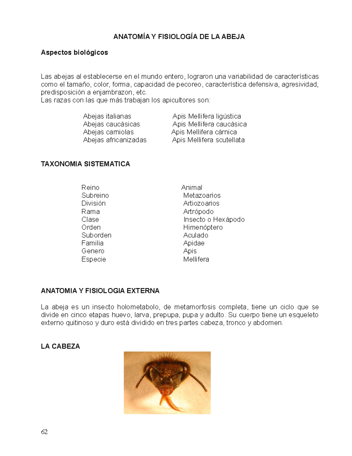 Apicultura 1 - ANATOMÍA Y FISIOLOGÍA DE LA ABEJA Aspectos biológicos ...