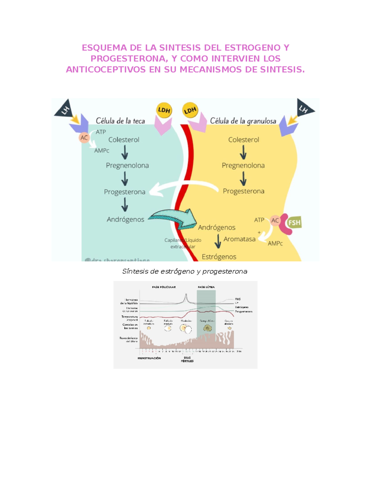 Esquema DE LA Sintesis DEL Estrogeno Y Progesterona - Farmacología ...