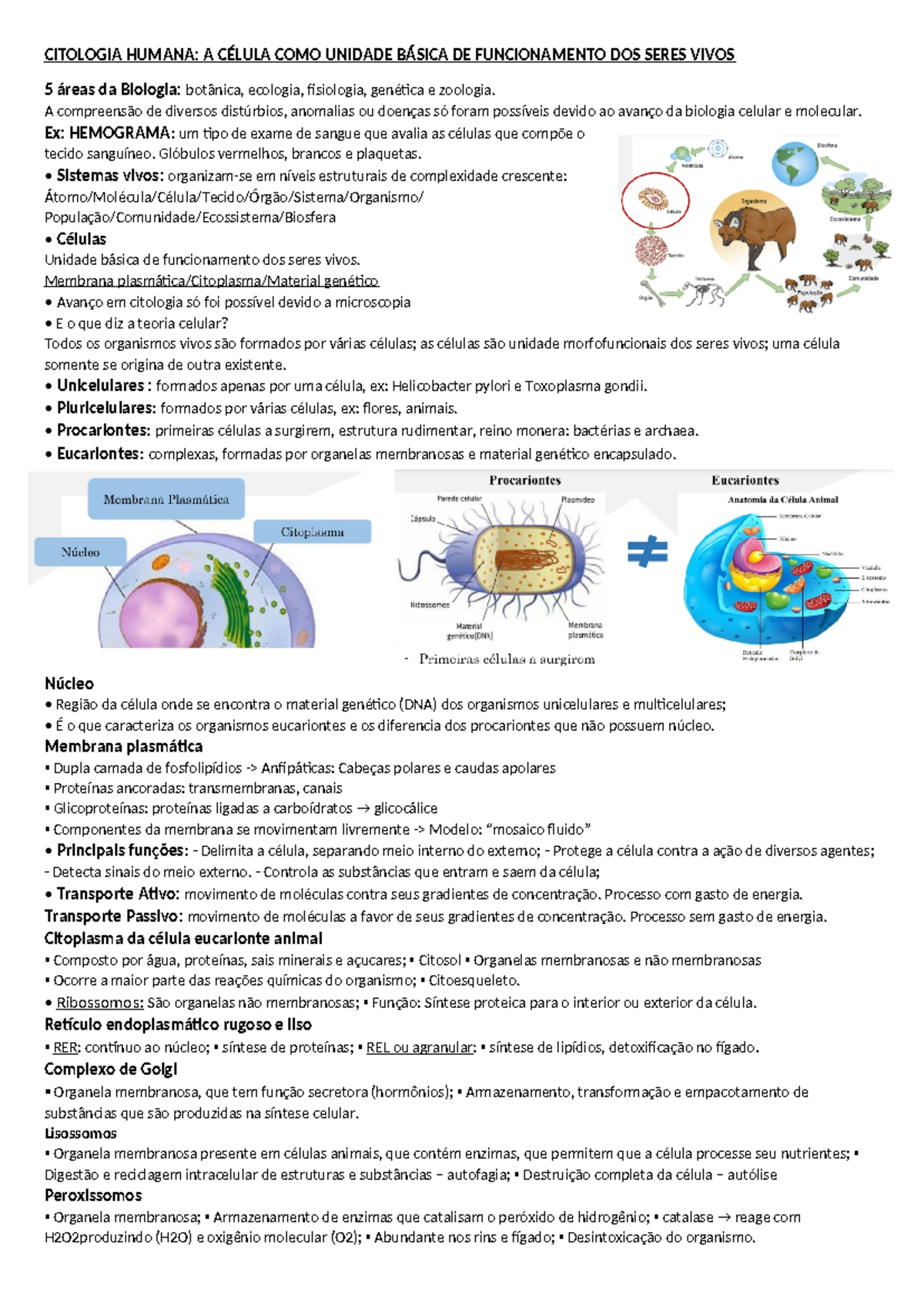 Citologia Humana - CITOLOGIA HUMANA: A CÉLULA COMO UNIDADE BÁSICA DE ...