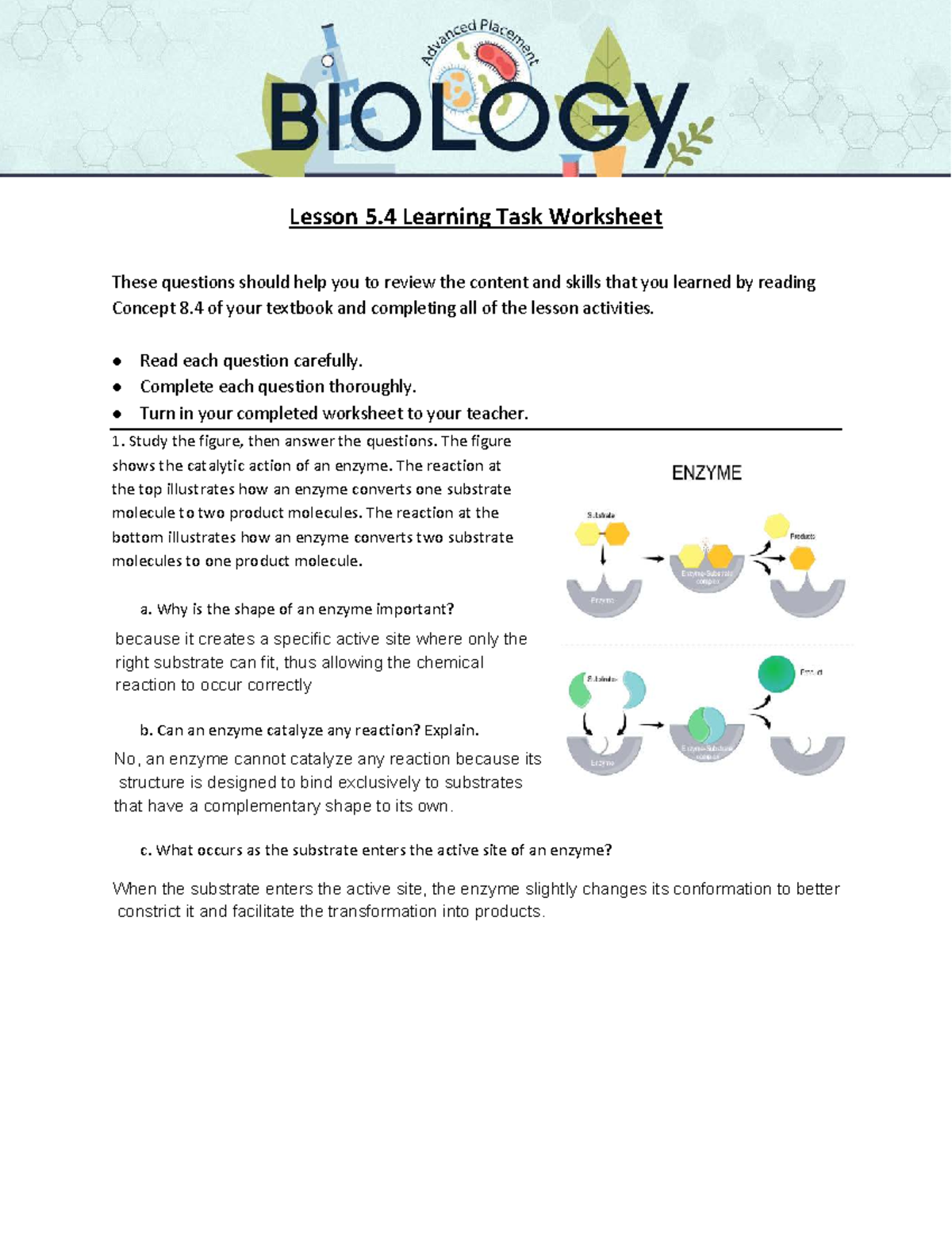 AP Bio 5.4 Lesson 5.4 Learning Task Worksheet - Studocu