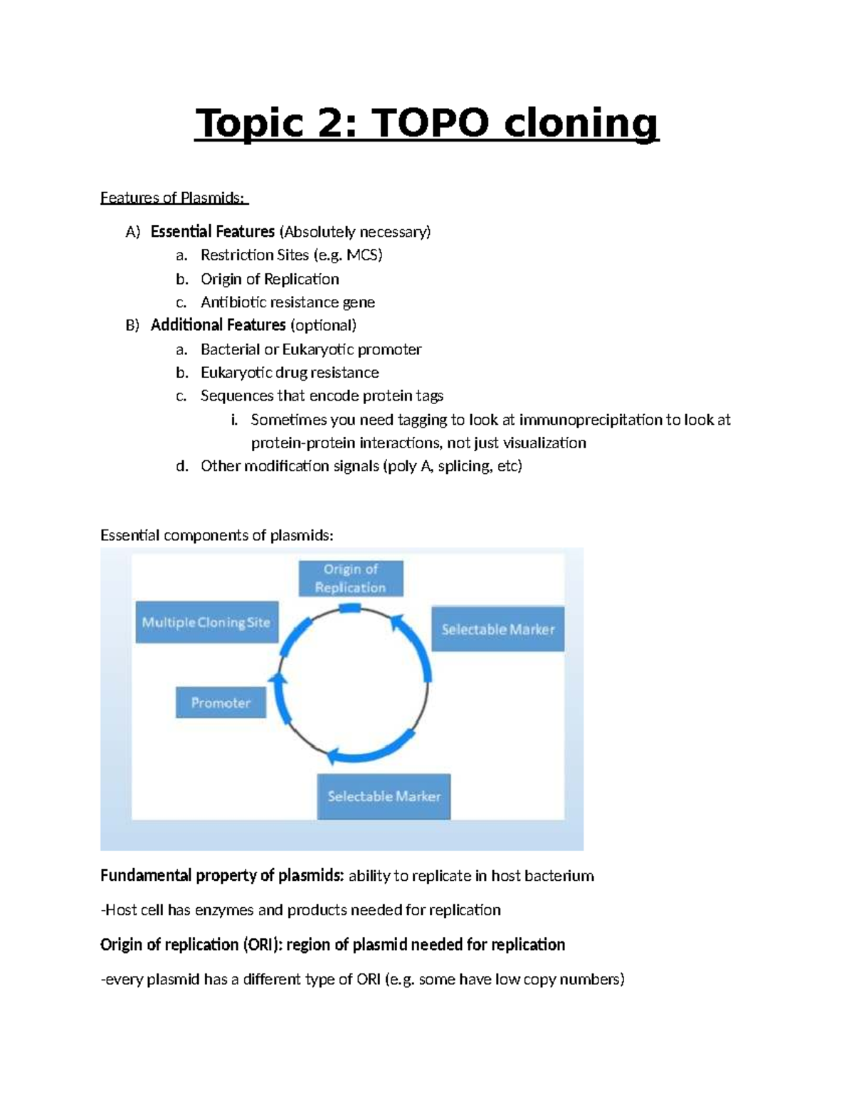 TOPO Cloning: Key Plasmid Features & E. coli Protocols - Studocu