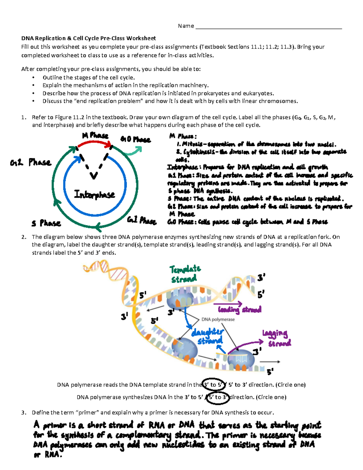 Week 9a Pre-Class Reading Guide: DNA Replication & Cell Cycle - Studocu