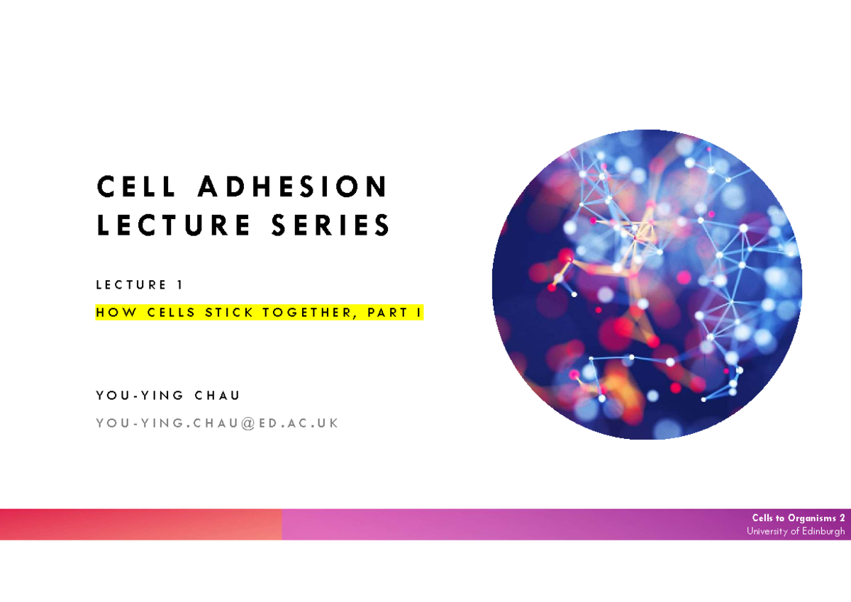 Cell Adhesion Lecture 1: How Cells Stick Together - YYC - Studocu