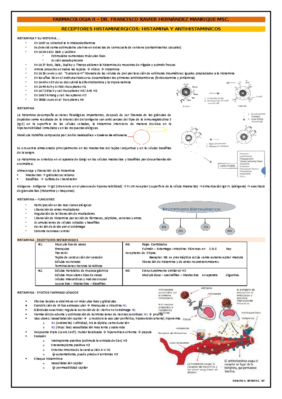 Diferentes Formas y Marcas Comerciales de Ibuprofeno y Paracetamol ...