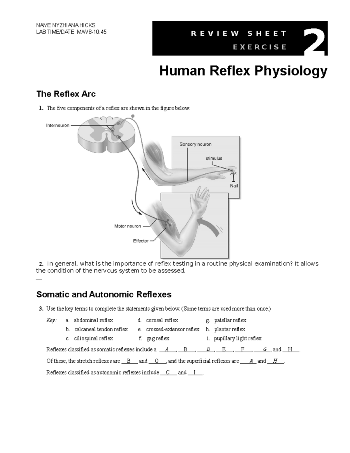 Exercises 21-23 Review Sheet for Human Reflex Physiology and Senses ...