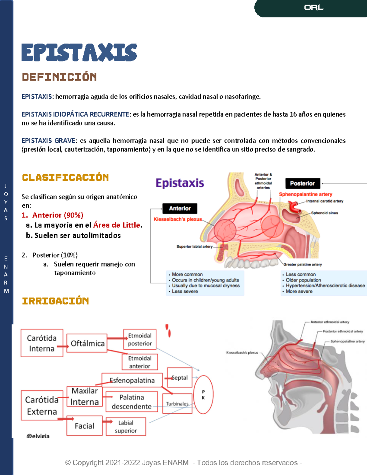 5. Epistaxis - material de repaso para la practica - © Copyright 2021 ...