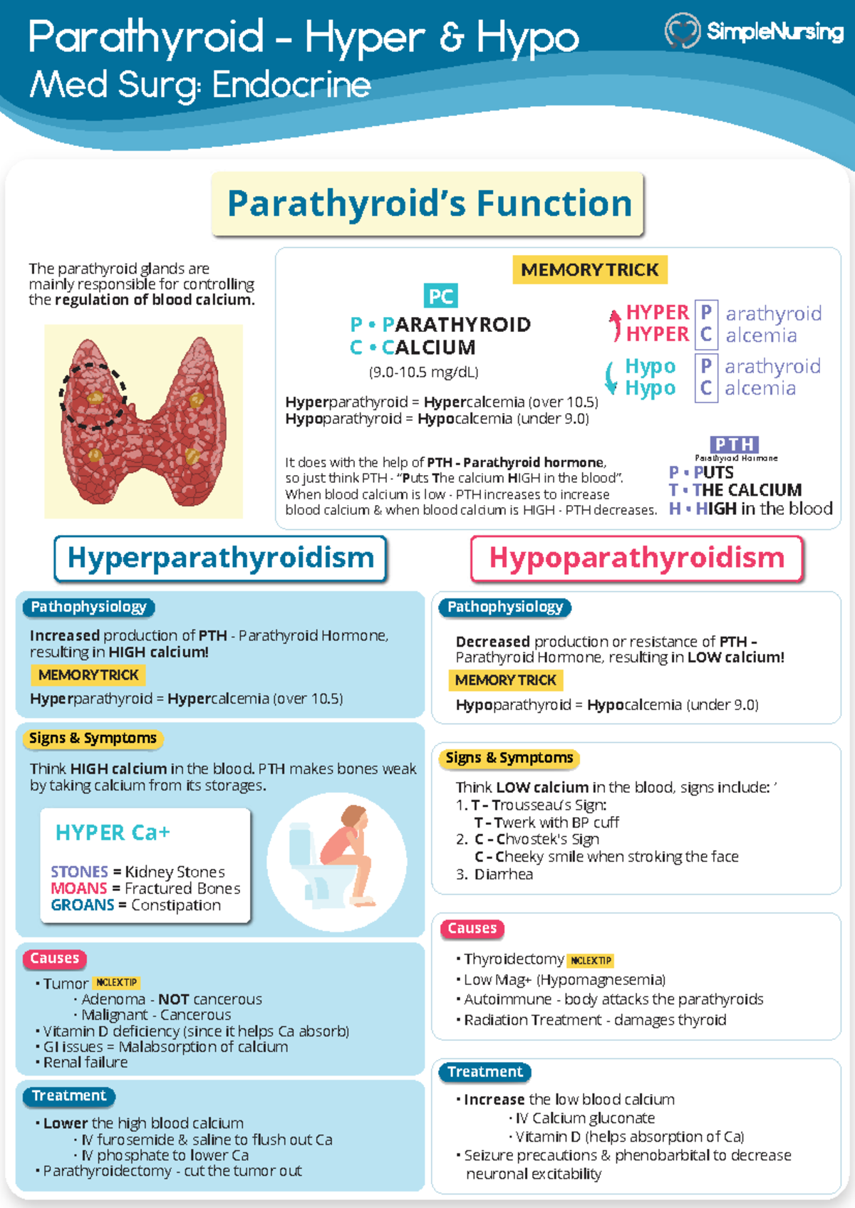 Parathyroid Disorders: Hyper & Hypo - Med Surg Overview - Studocu