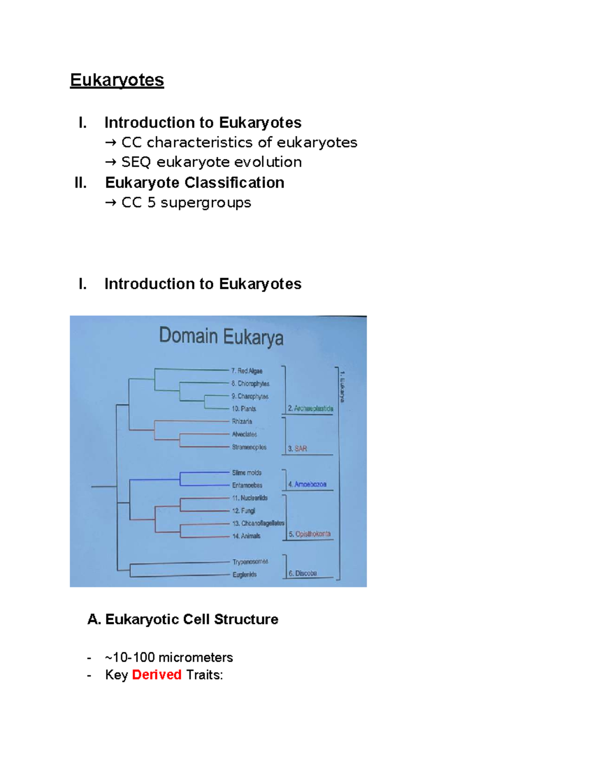 Gen Bio II Lecture 3: Introduction to Eukaryotes and Classification ...