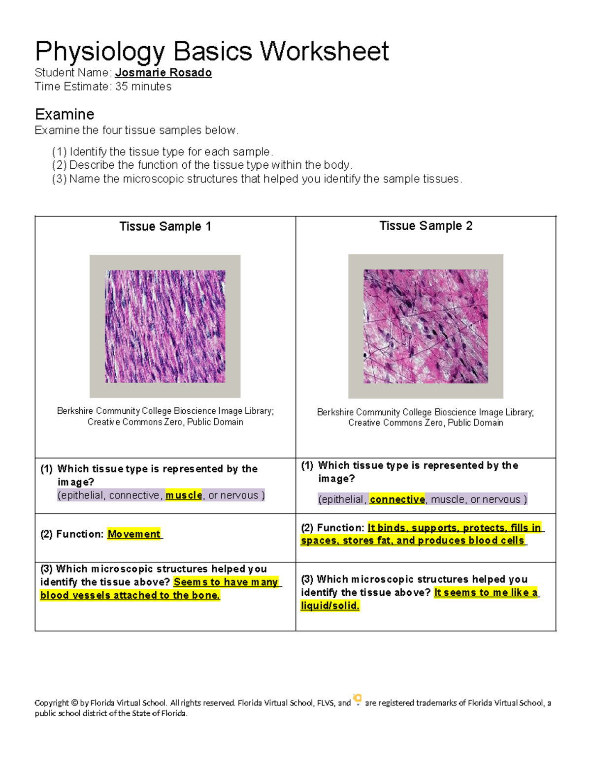Physiology Basics Worksheet (BIO101) - Tissue Types & Functions - Studocu