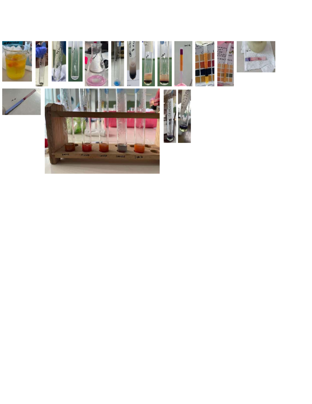 LABS PICS - B ЗЯУЯ L6H Iph (20) Dr. Oak's Test Results - Studocu