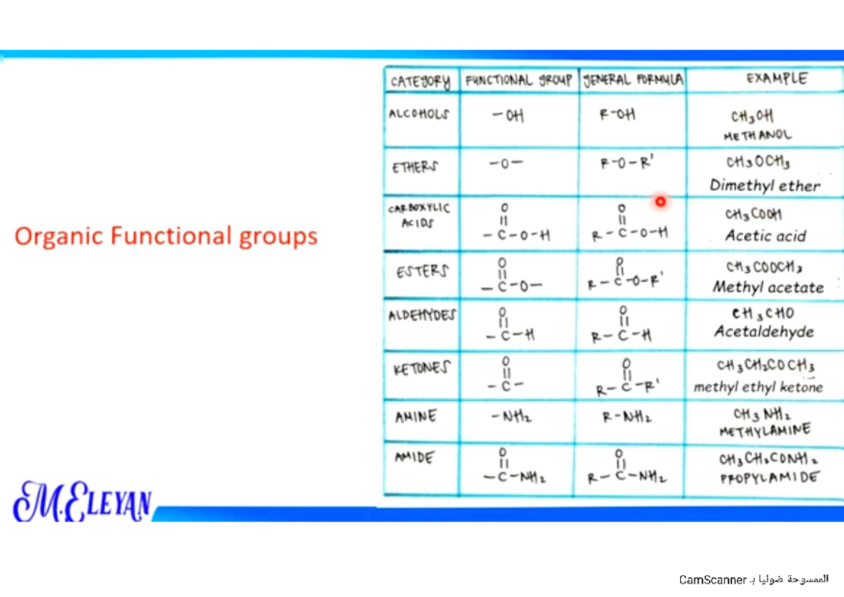 Carbohydrates: Structure and Function Overview - Studocu