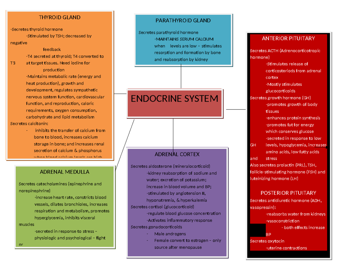 Endocrine System Concept Map - Tagged - ENDOCRINE SYSTEM THYROID GLAND ...