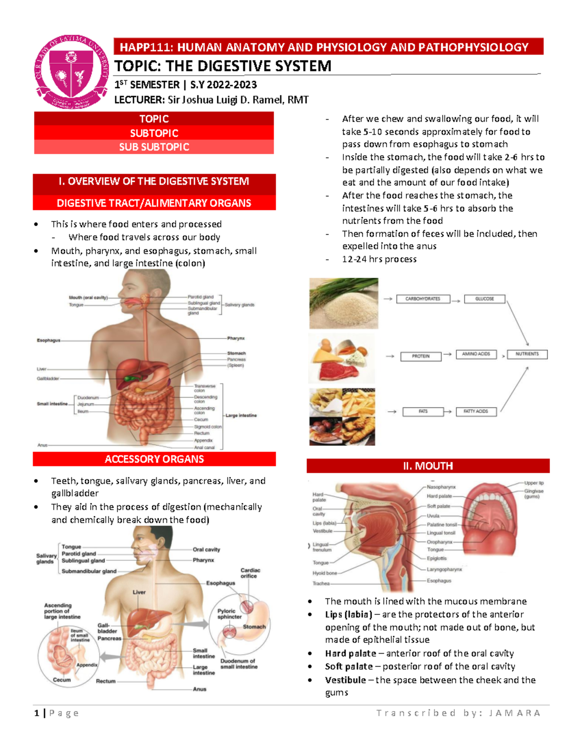 HAPP111: Lesson 1 Overview of the Digestive System in Human Anatomy ...