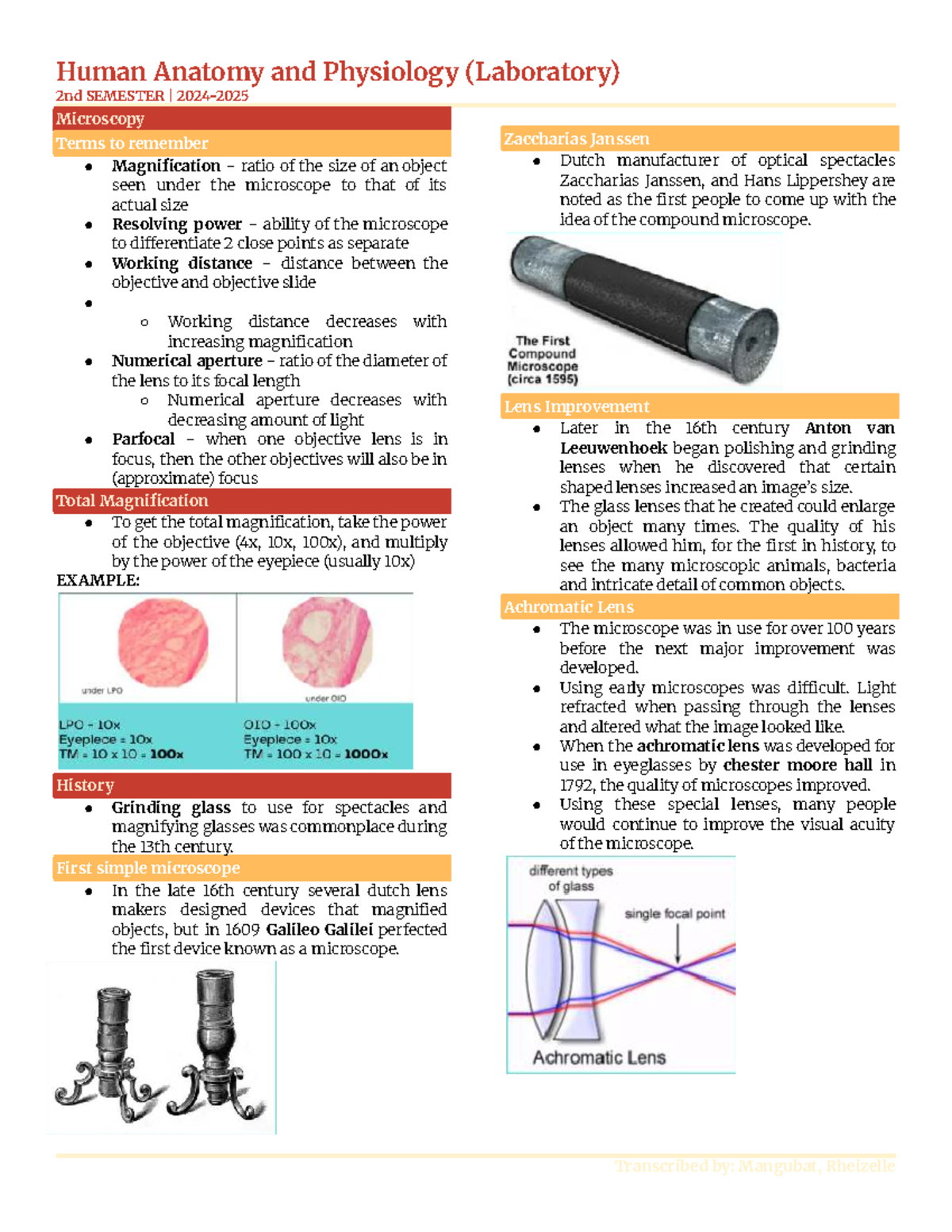 Human Anatomy and Physiology (Laboratory) 2nd SEMESTER Prelim Study ...