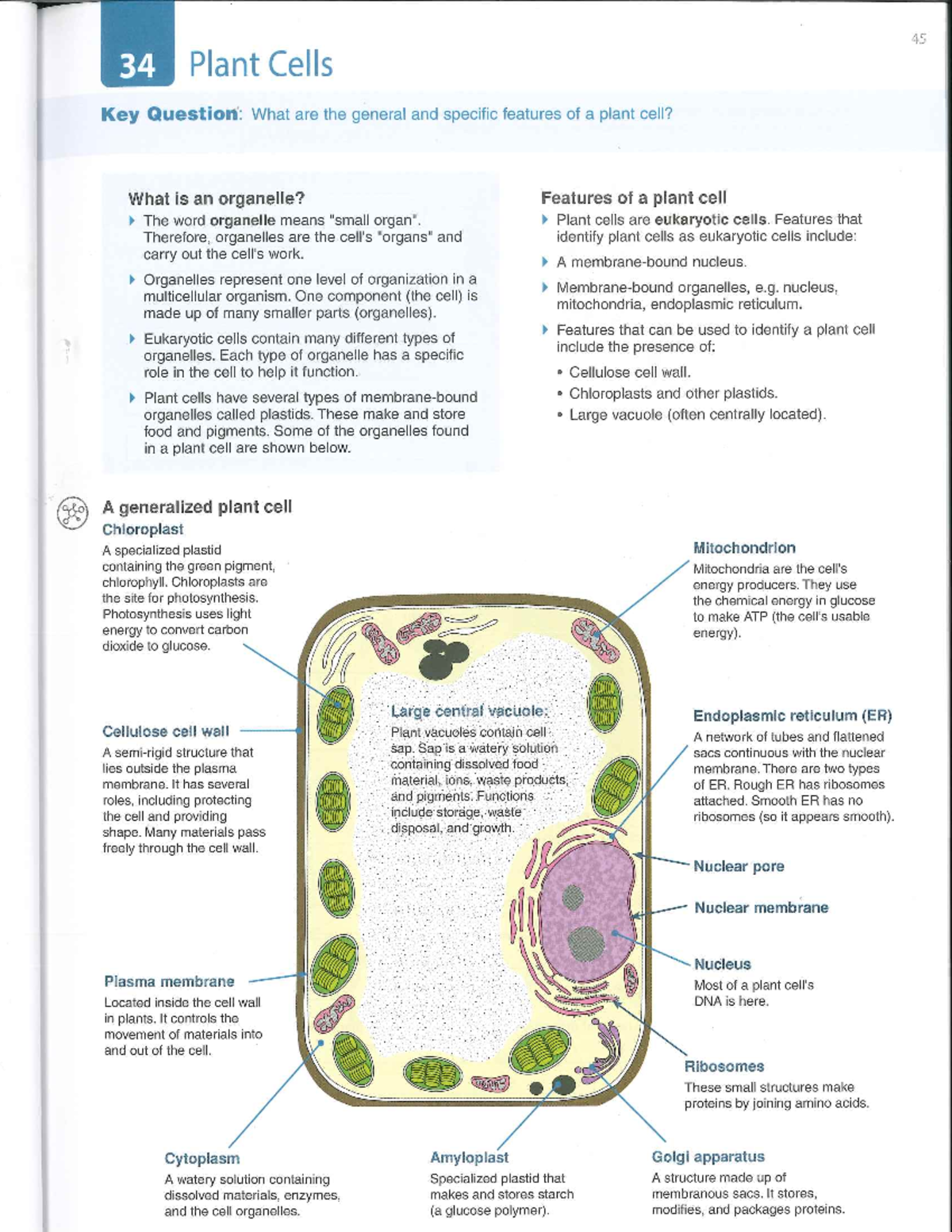 Course Overview and Study Guide for Biology 101 Final Exam - 45 34 ...