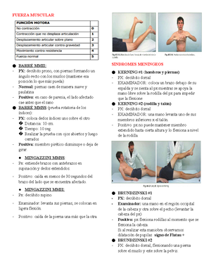 Signos Meningitis, positivos de Brudzinski y de Kernig - Nursing. 2005 ...