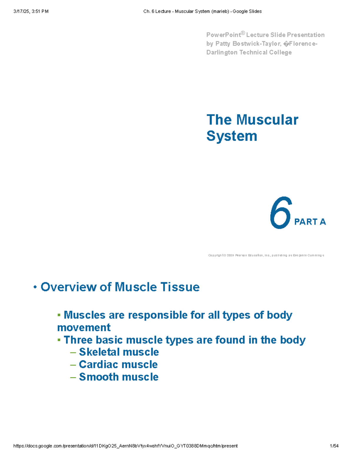 Ch. 6 Lecture - Overview of the Muscular System (Marieb) - Studocu