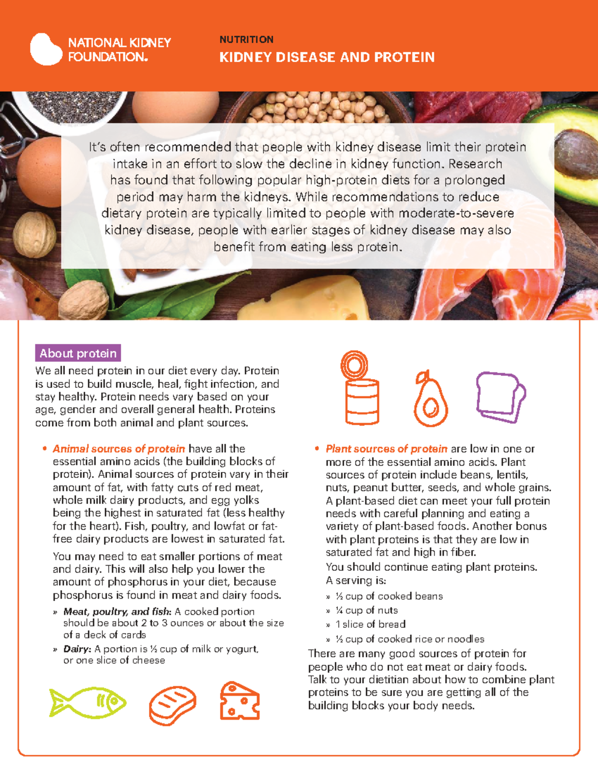 NUTRITION & CKD: Understanding Protein Intake Recommendations - Studocu