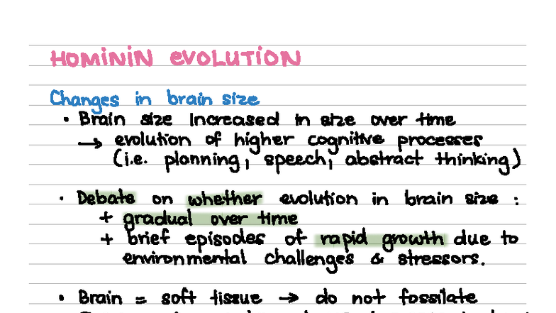 11B Hominin Evolution: Brain Size Changes and Implications - Studocu