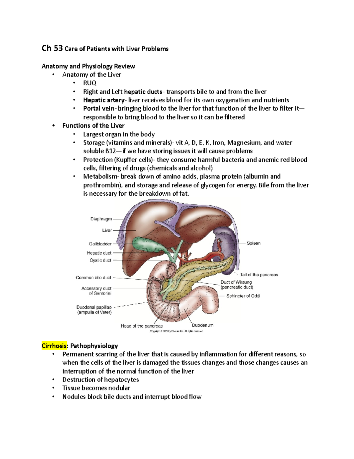 Ch 53 & 54 Liver and Pancreas - Ch 53 Care of Patients with Liver ...