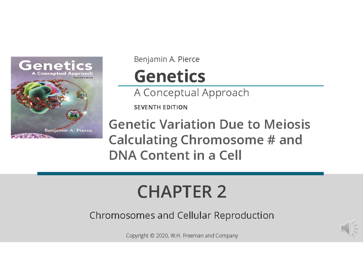 Genetics 101: Genetic Variation & Meiosis Study Guide (CH 6) - Studocu