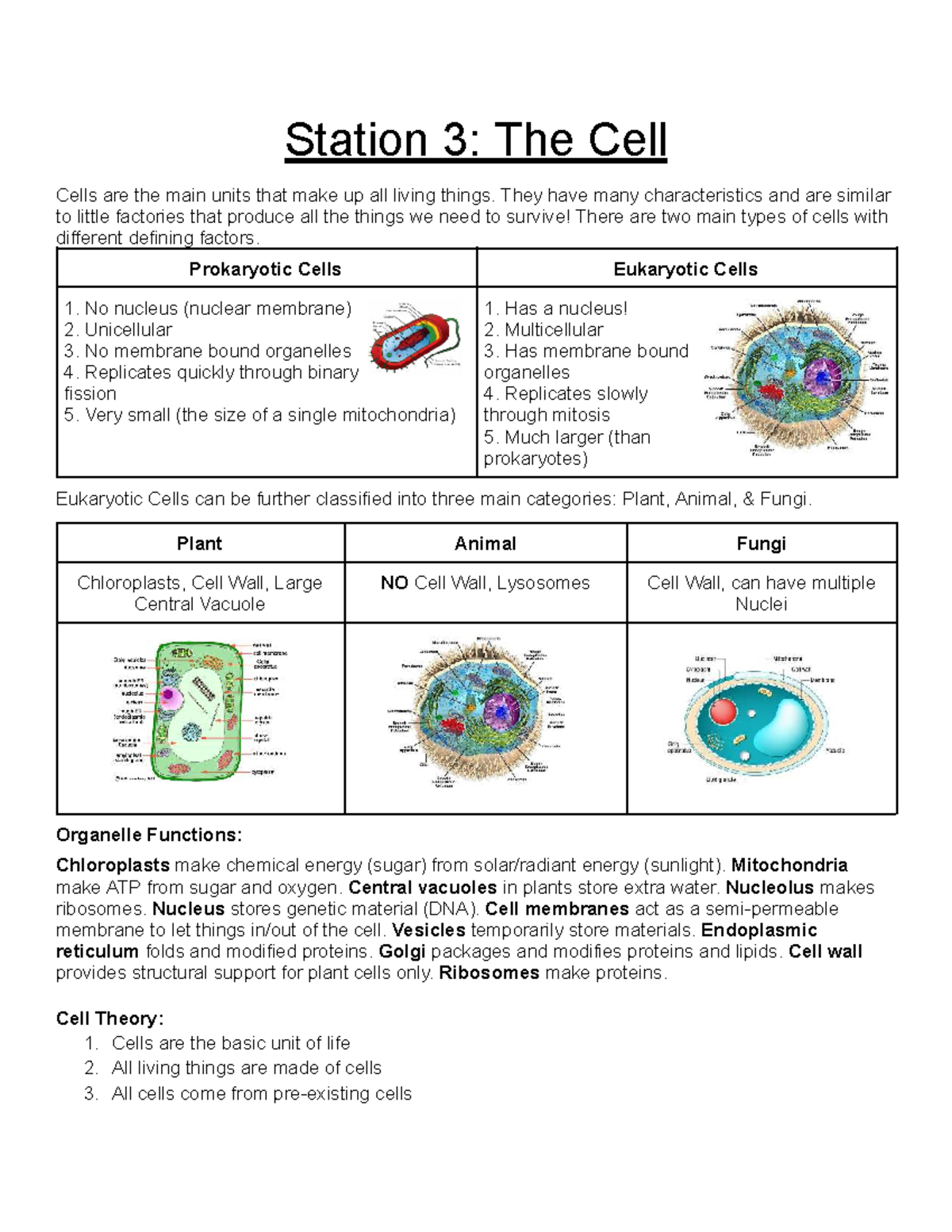 Cells: Key Characteristics and Functions - NOTE Sheet - Studocu