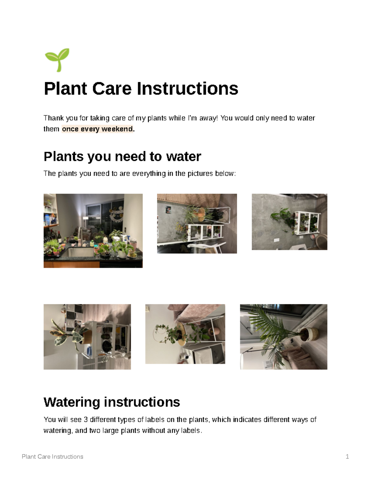 Plant Care Instructions: Weekend Watering Guide for Your Plants - Studocu