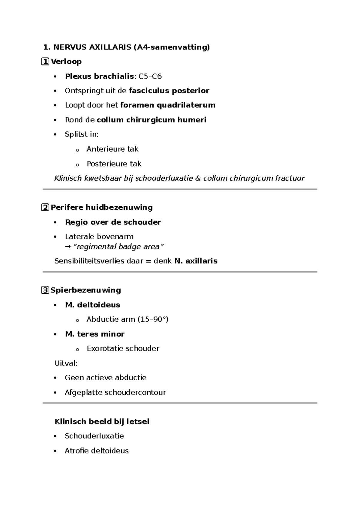 Perifere Zenuwen: Anatomie en Functies van Nerven in de Arm en Been ...