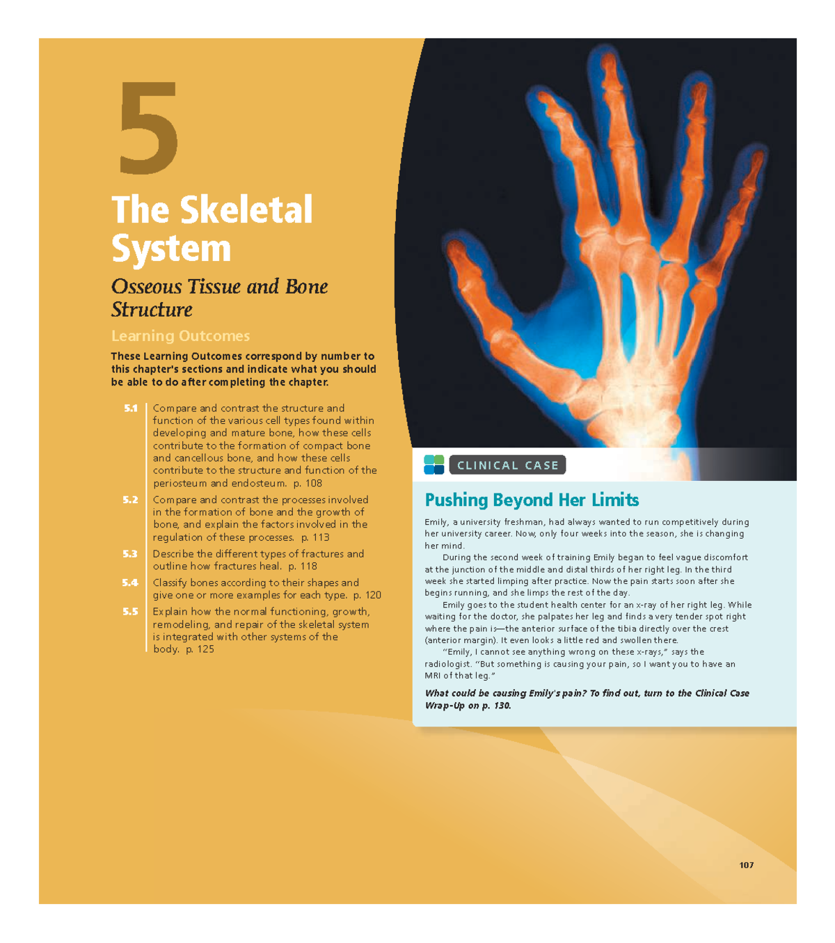 The Skeletal System: Structure, Development, and Functions (BIO101 ...