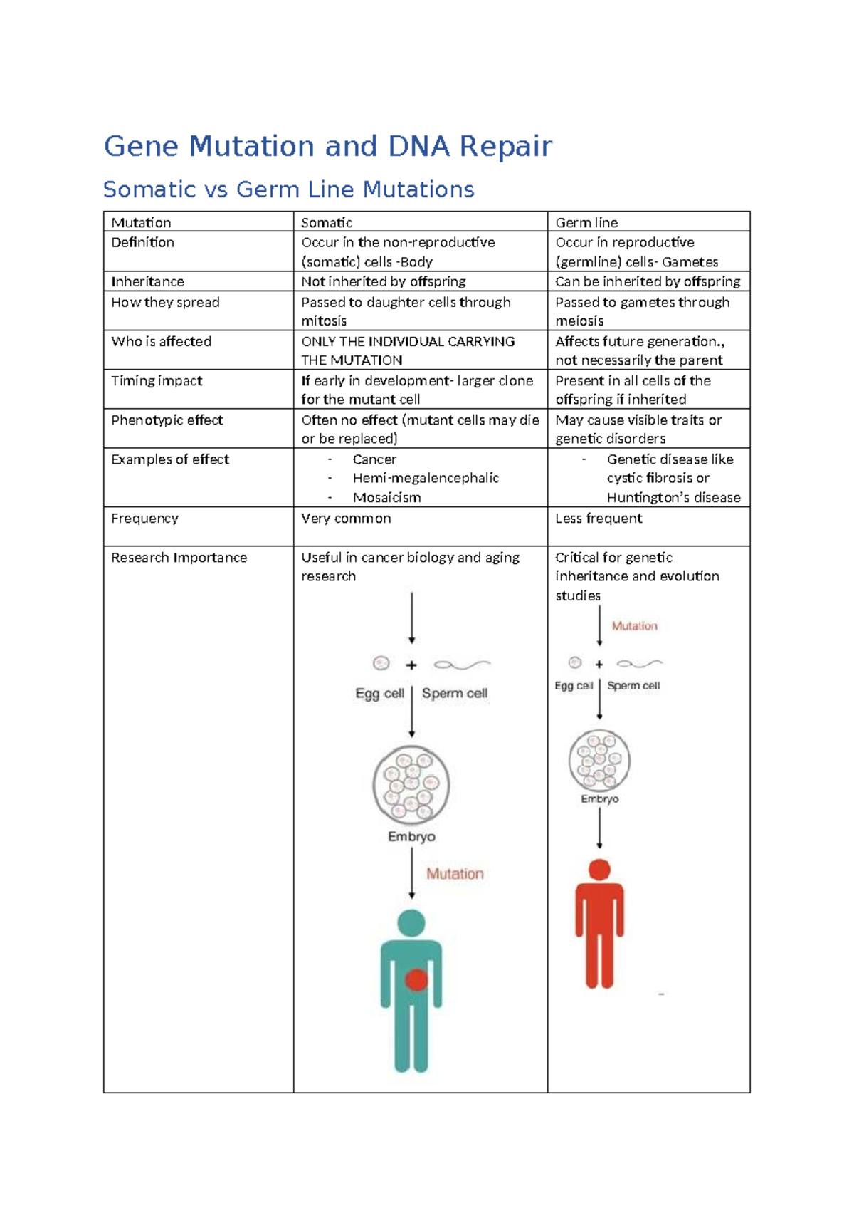 Gene Mutation and DNA Repair: Somatic vs Germline Insights (GTS) - Studocu