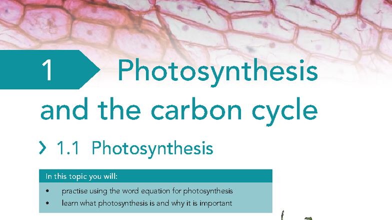 Science LB U1-U5: Photosynthesis & Carbon Cycle Overview - Studocu