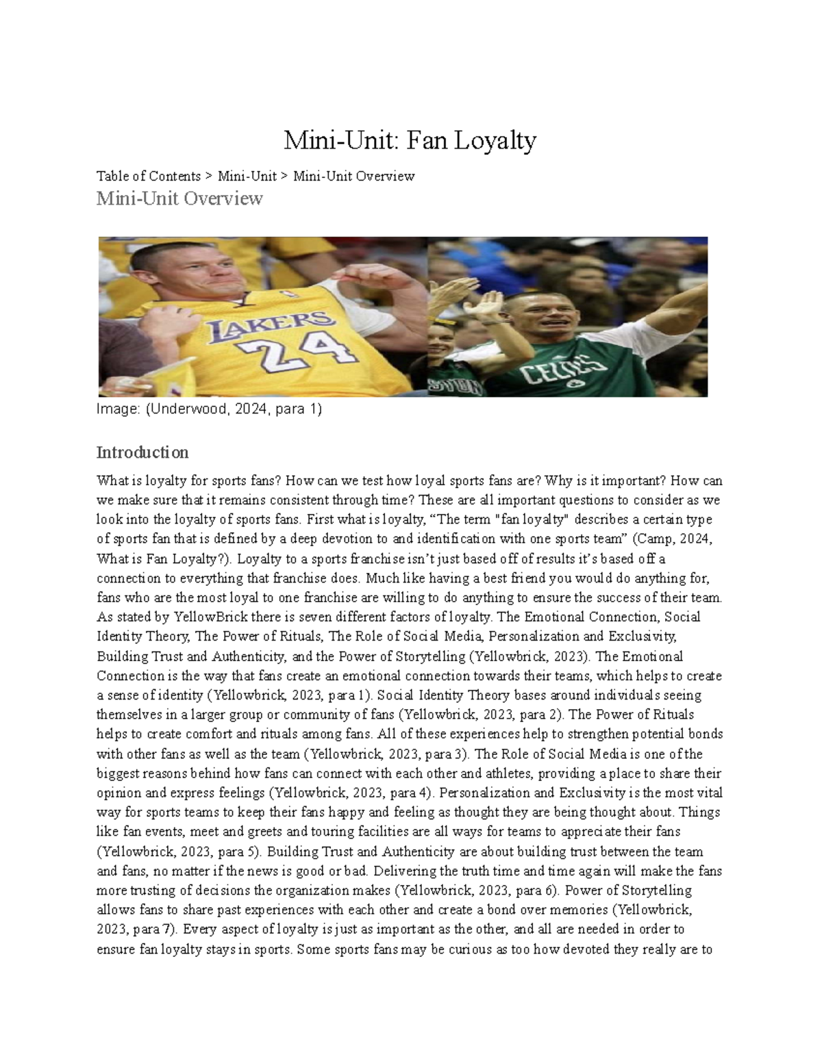 Fan Loyalty: Understanding the Emotional Connection in Sports - Studocu